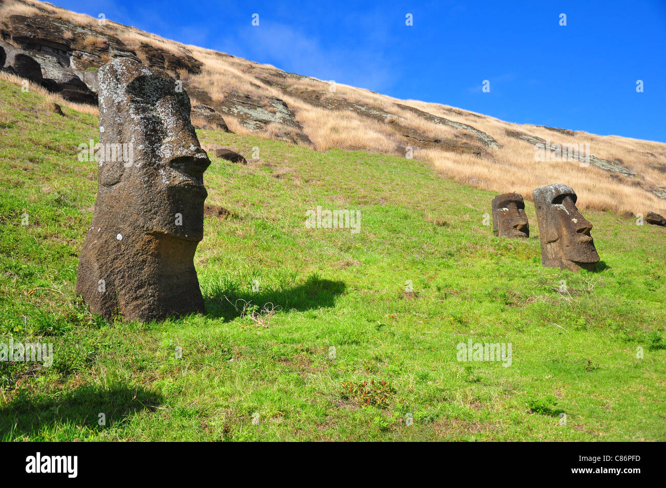 Easter island moai statues hi-res stock photography and images - Alamy