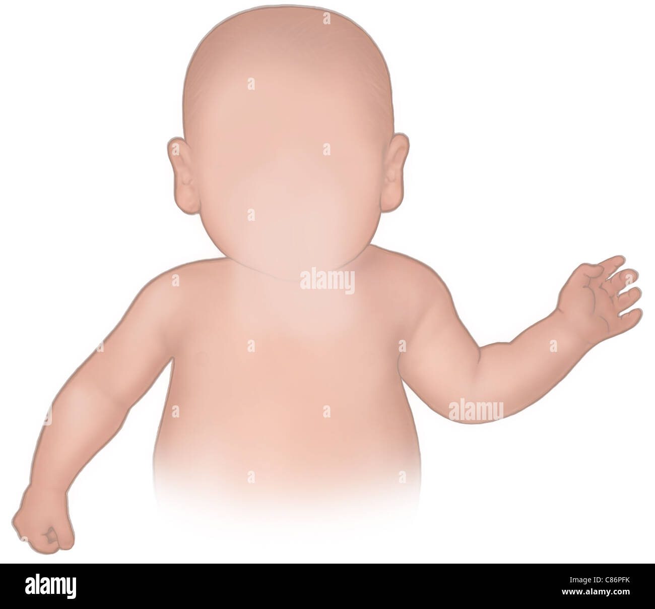 Nucleus Medical Media High Resolution Stock Photography and Images - Alamy