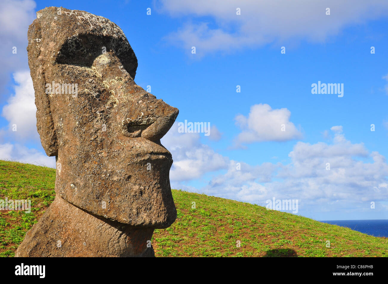 Moai in the afternoon sun on Easter Island Stock Photo - Alamy