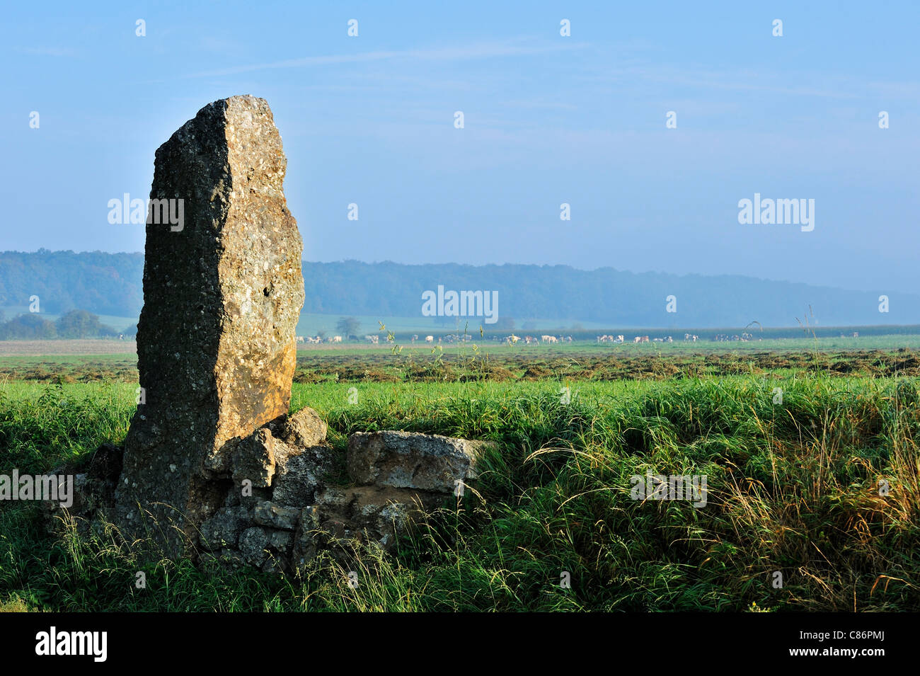 Megalithic menhir / standing stone Danthin near Wéris, Belgian Ardennes ...