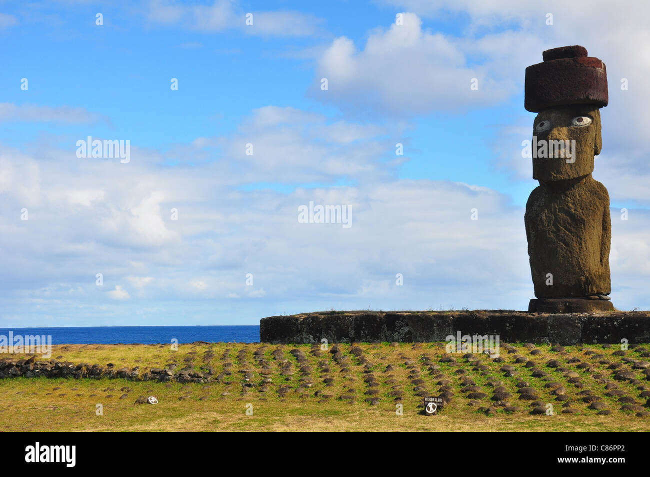 Solitary moai with coral and obsidian eyes on the coast of Easter ...