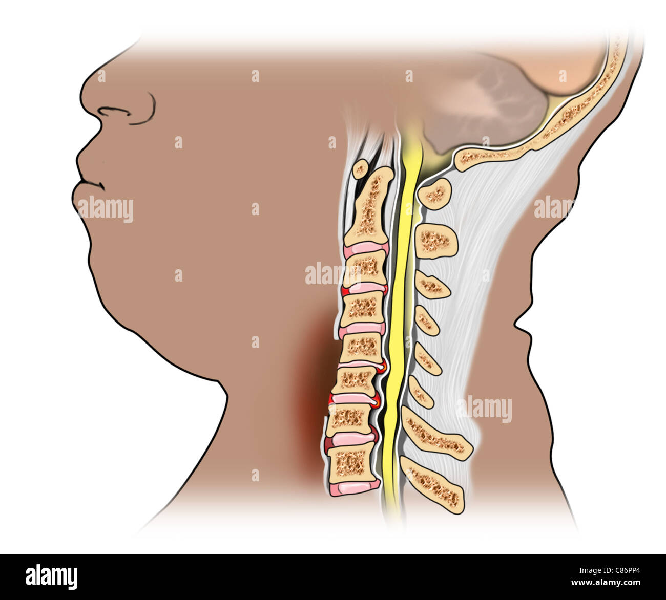 C5 6 High Resolution Stock Photography and Images - Alamy