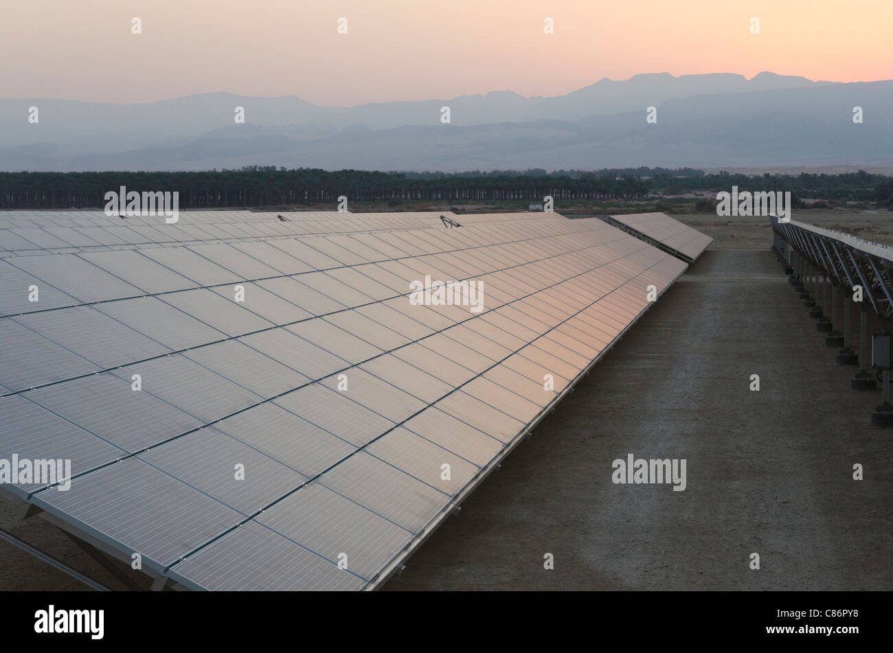 Solar panel field at sunrise in Kibbutz Ketura. arava valley. israel ...
