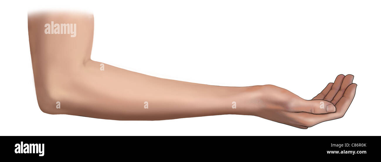 Lateral hand hi-res stock photography and images - Alamy