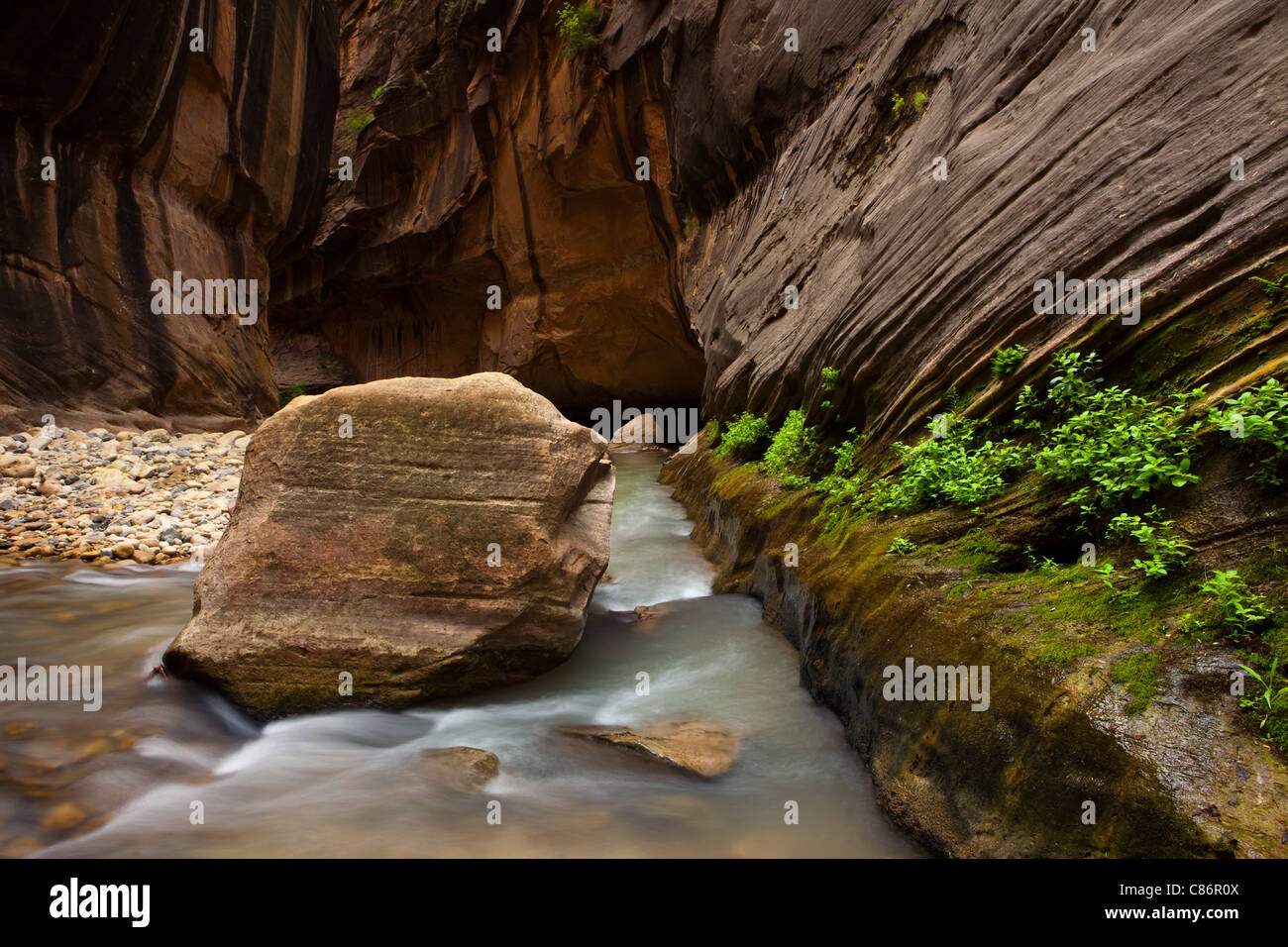 The Narrows of Orderville, Virgin River Canyon in Zion National Park ...