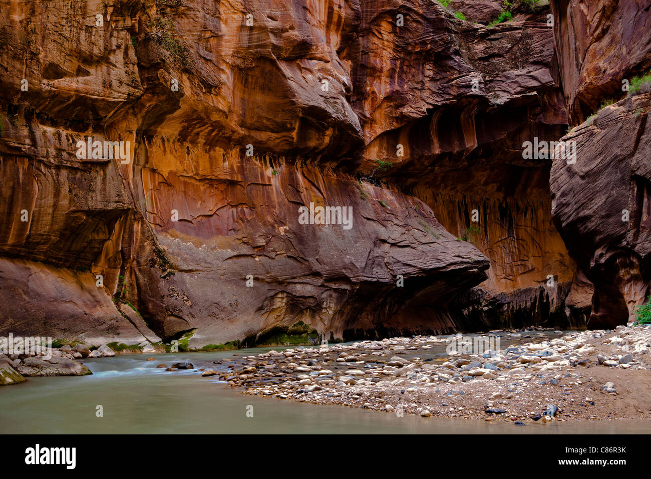 The Narrows of Orderville, Virgin River Canyon in Zion National Park ...