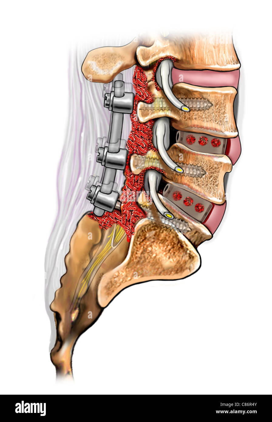 Images of L4 YOU! - JapaneseClass.jp