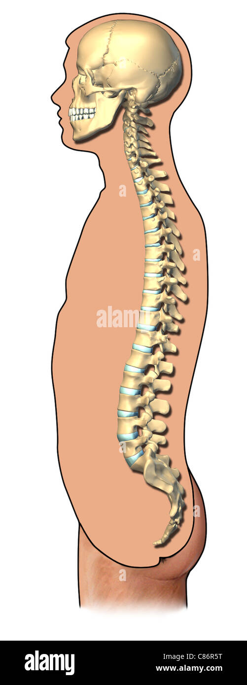 Any orientation hi-res stock photography and images - Alamy