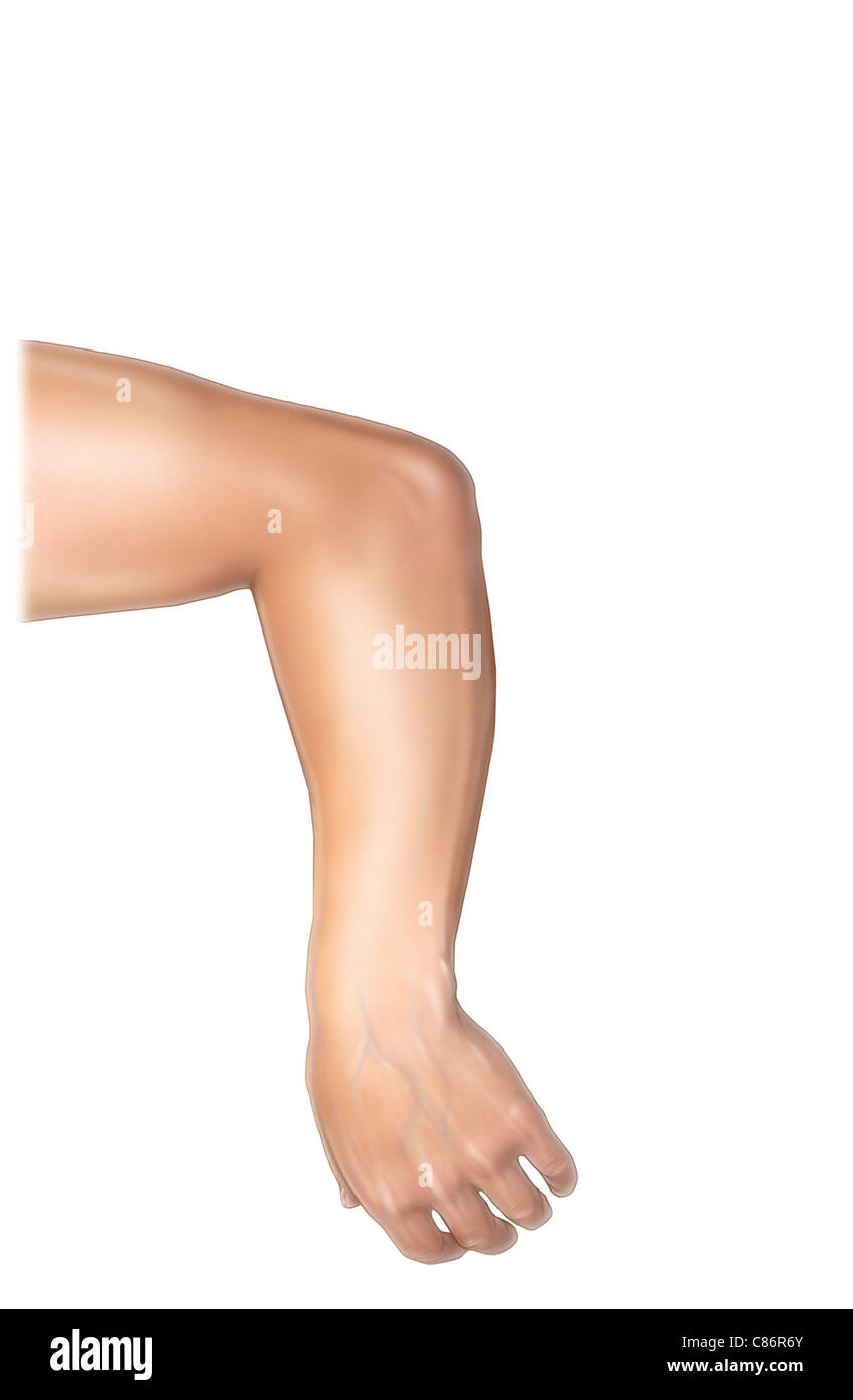 Elbow Joint High Resolution Stock Photography and Images - Alamy