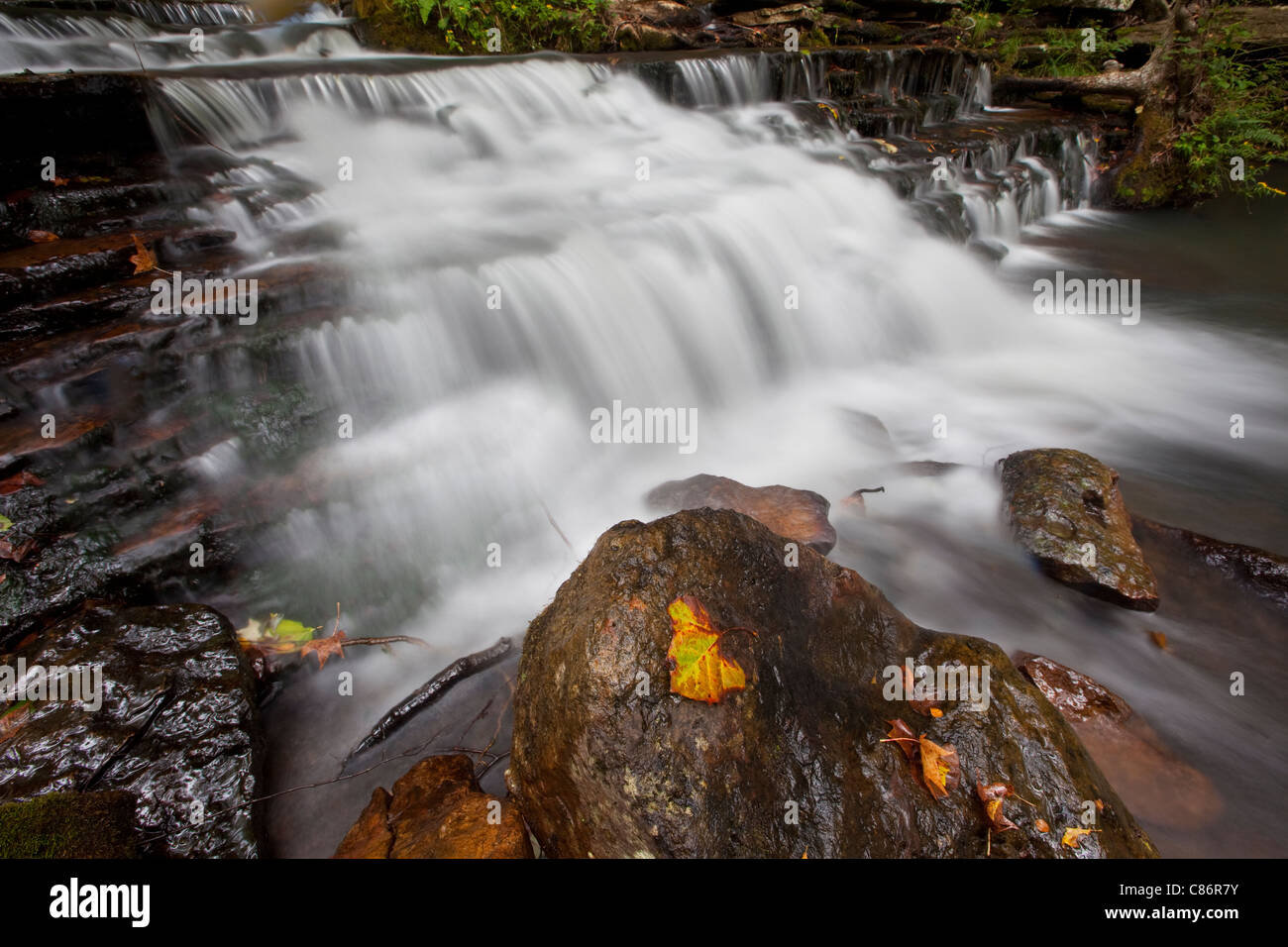 Heber springs hi-res stock photography and images - Alamy