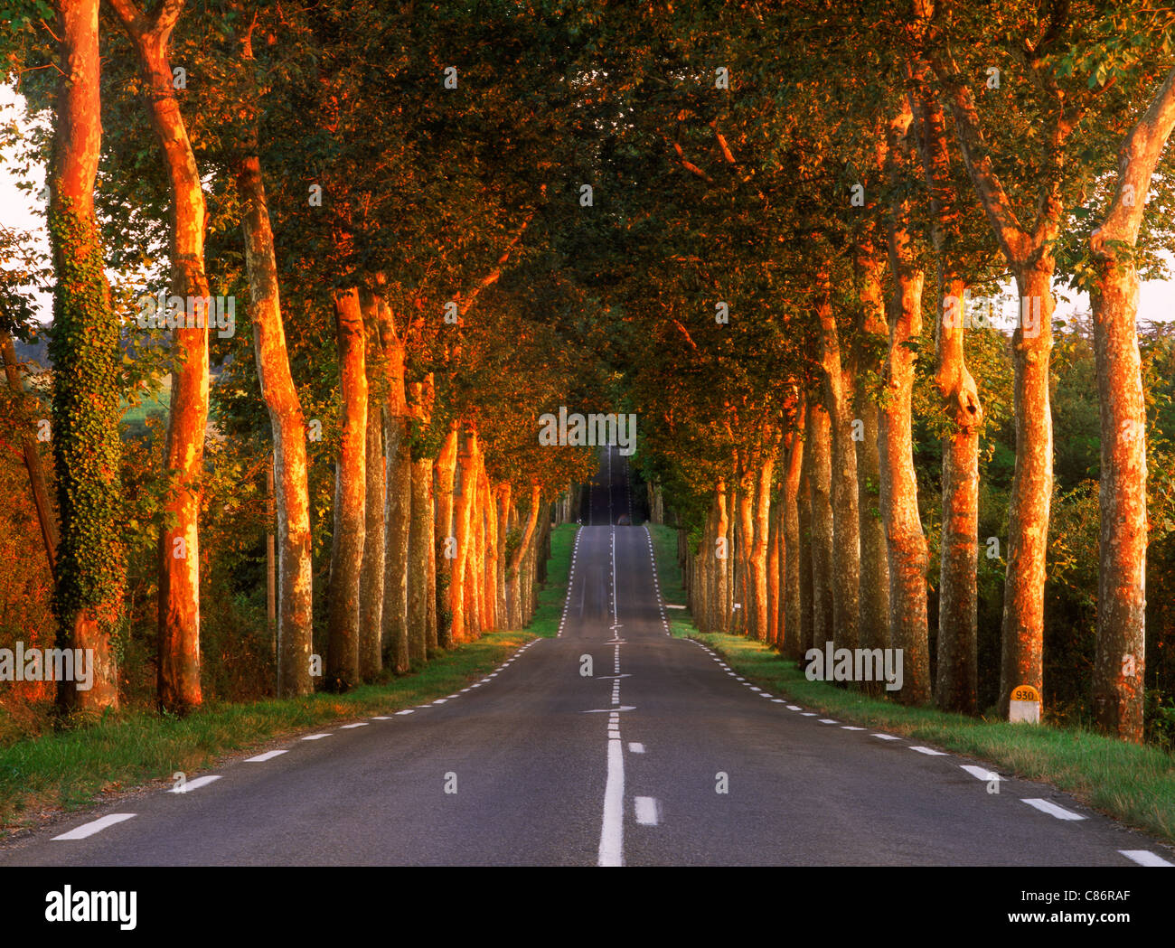 Rural countryside road in france hi-res stock photography and images ...