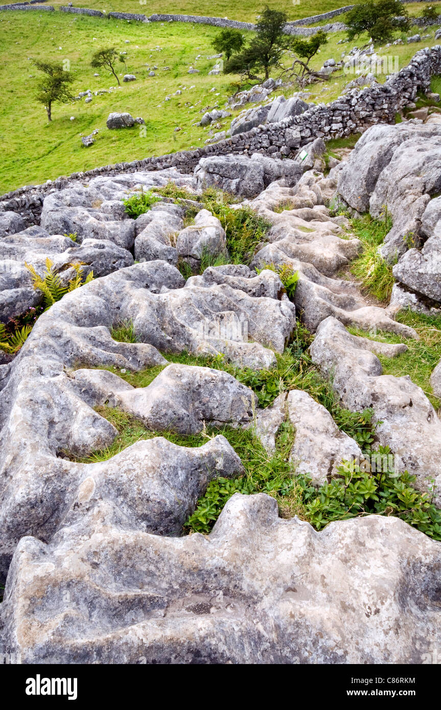 The limestone pavement above Malham Cove in the Yorkshire Dales ...