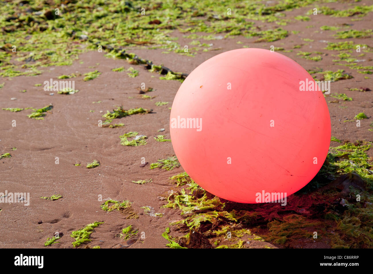 England Devon Goodrington Sands South Fishing Float Stock Photo - Alamy