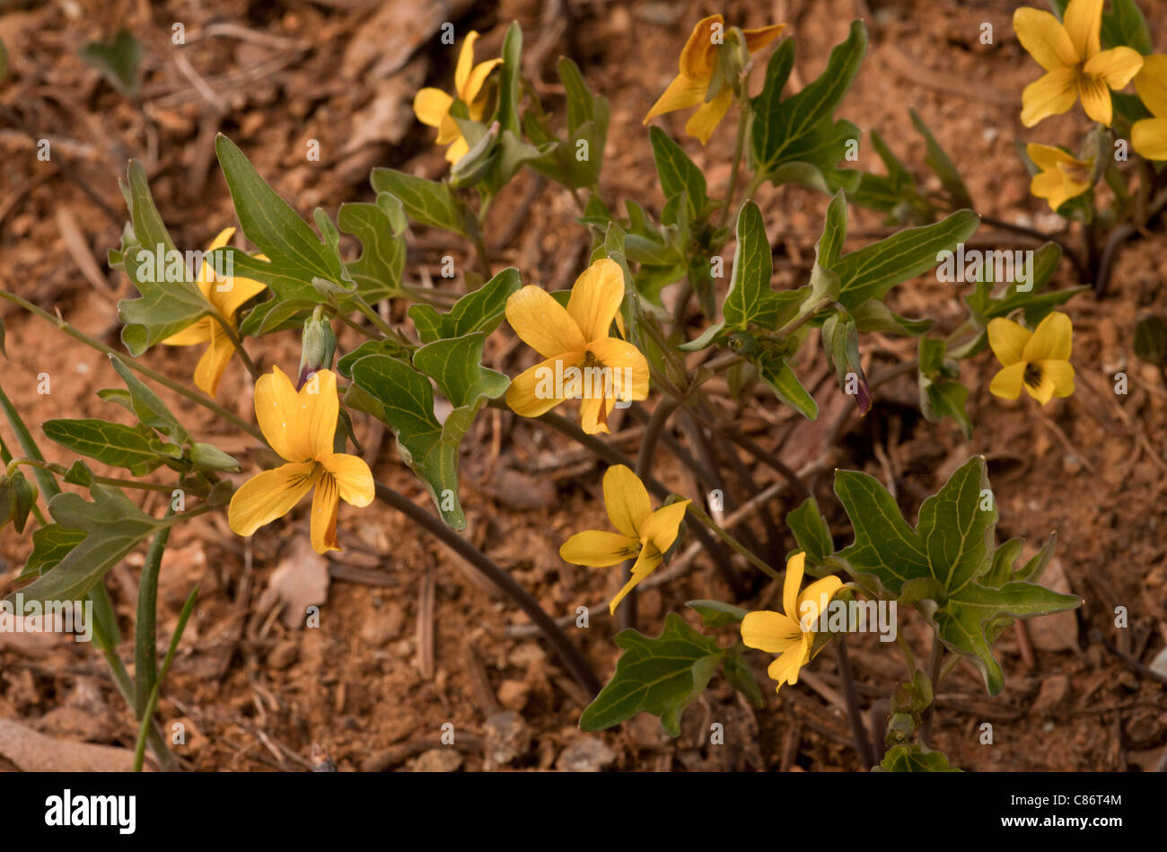 Eddy california hi-res stock photography and images - Alamy