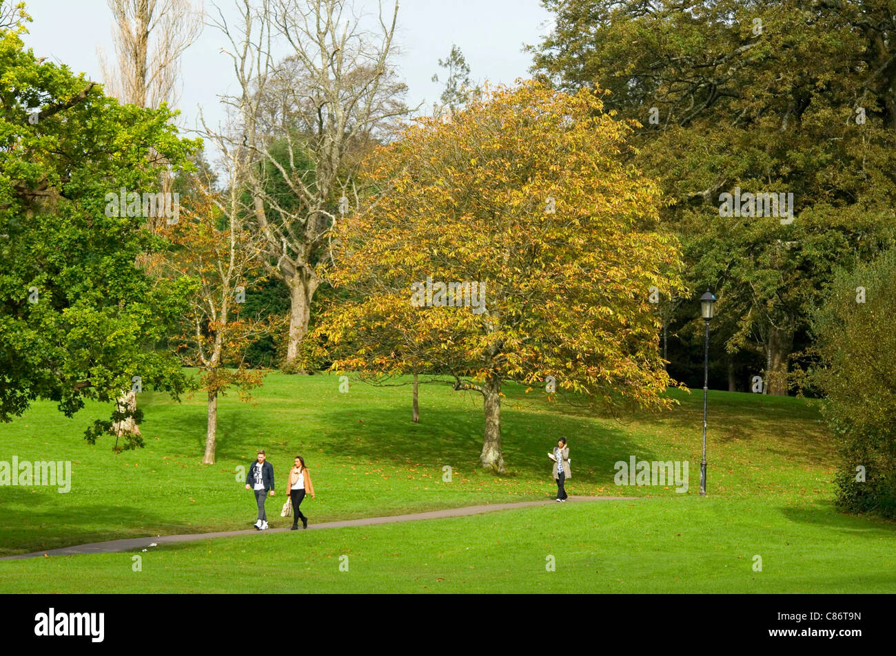 Swansea University students strolling through the Autumn colours in ...