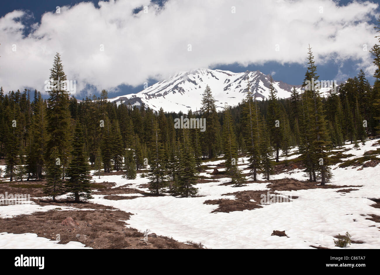 Mount Shasta in late spring, north California, USA Stock Photo - Alamy