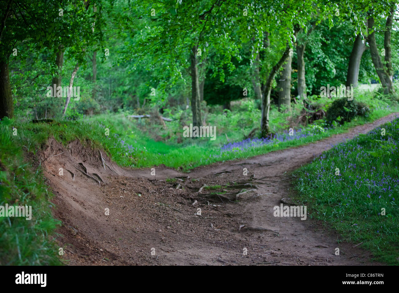 Singletrack hi-res stock photography and images - Alamy