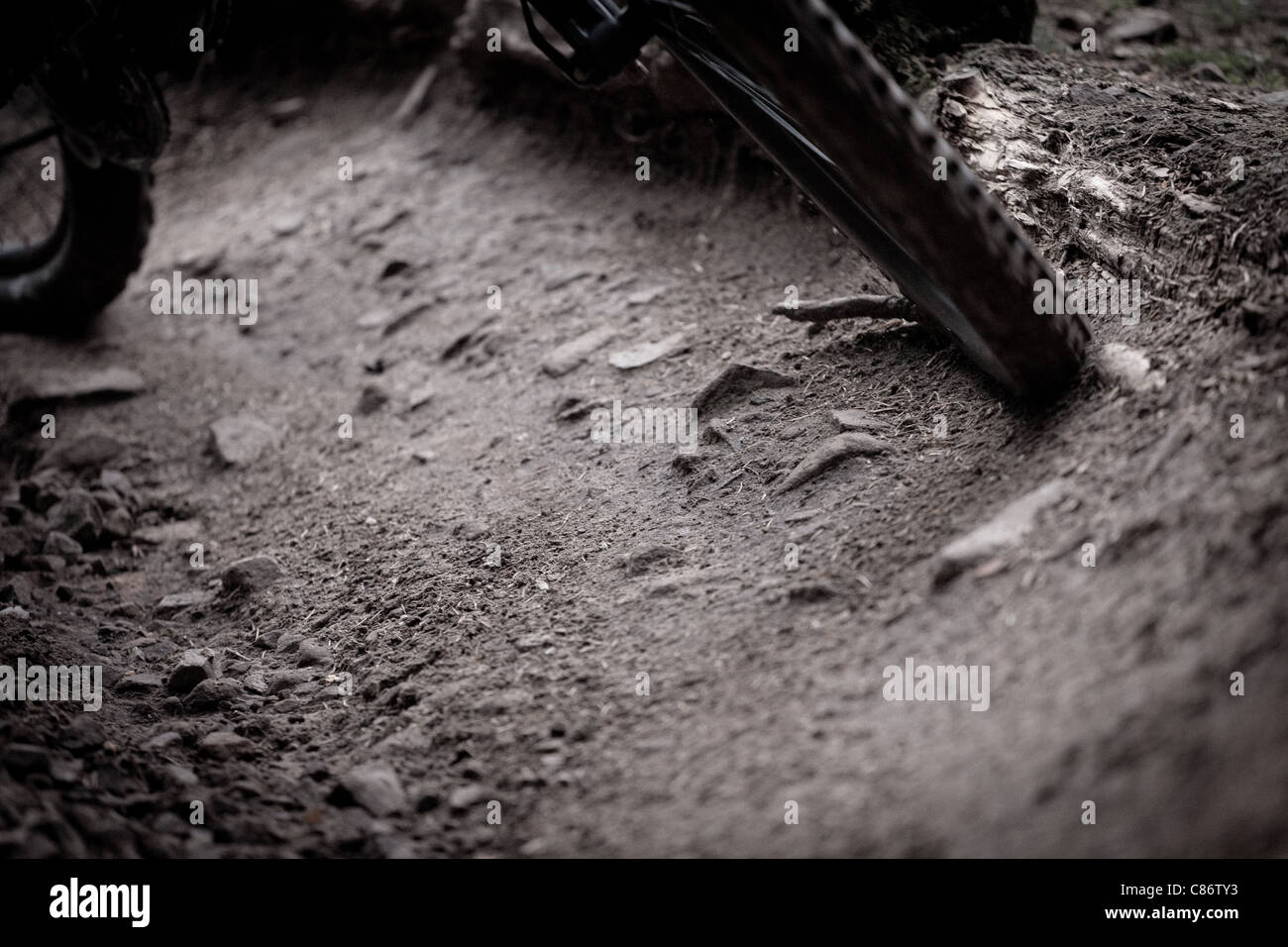 Image of a mountain biker carving around a berm. Shot is of just the ...