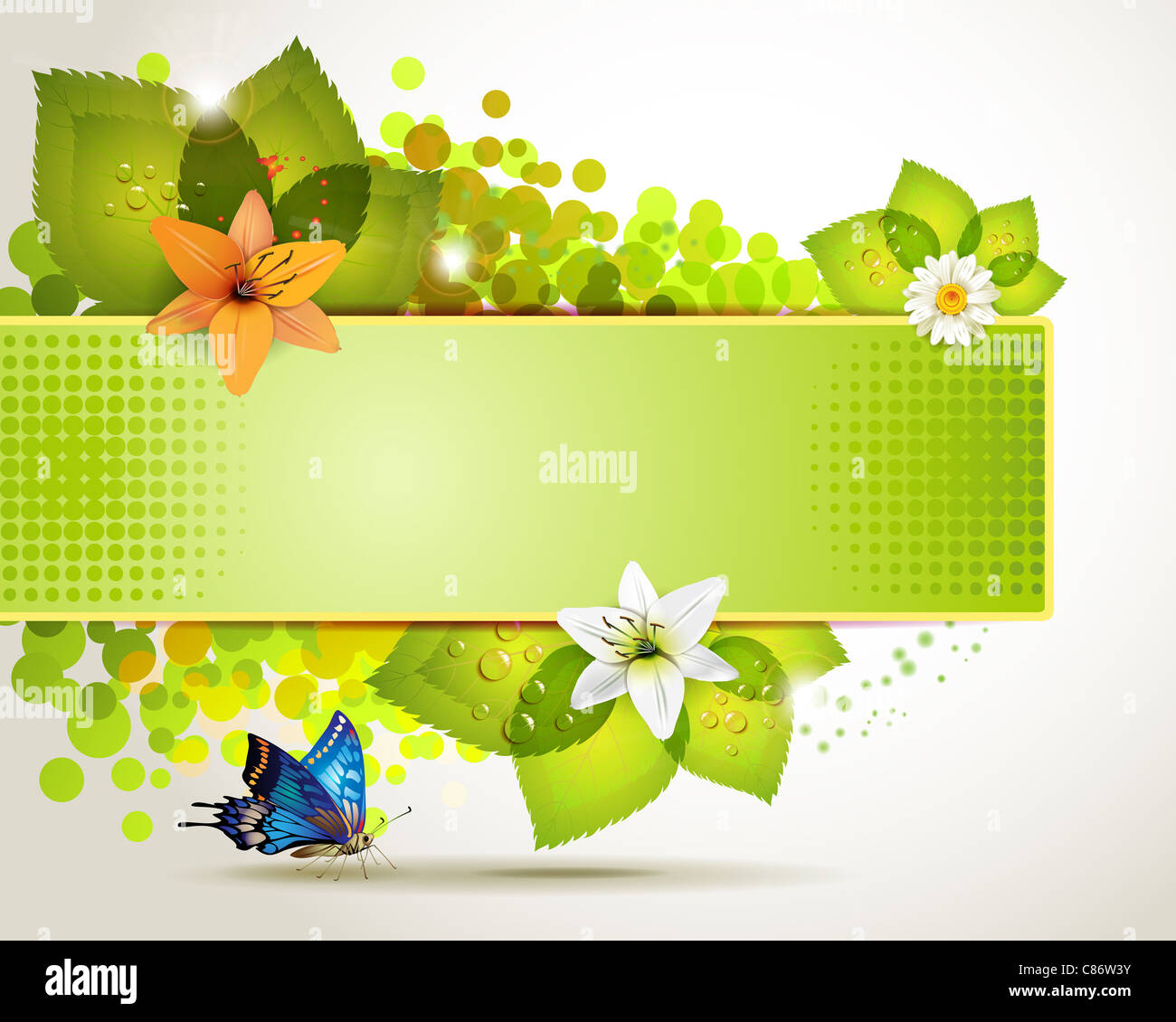 Green Butterfly Border