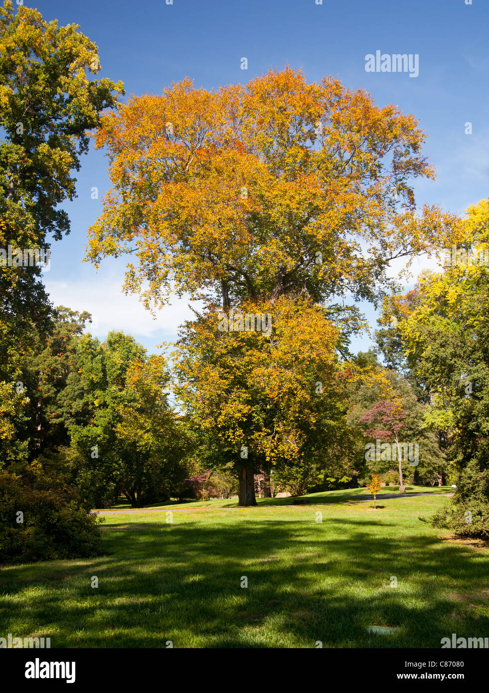 Well manicured hi-res stock photography and images - Alamy