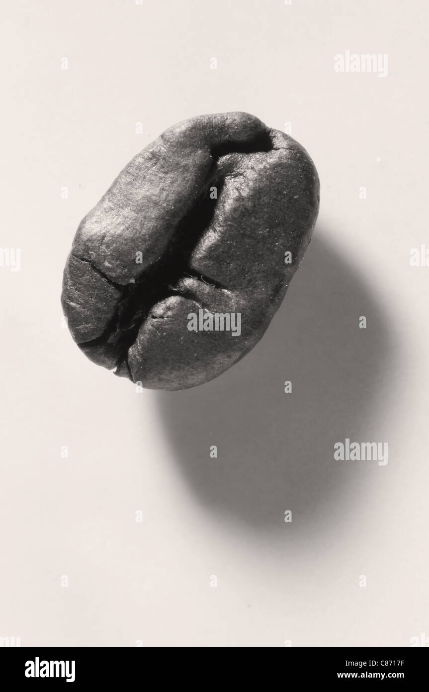 Café joe hi-res stock photography and images - Alamy