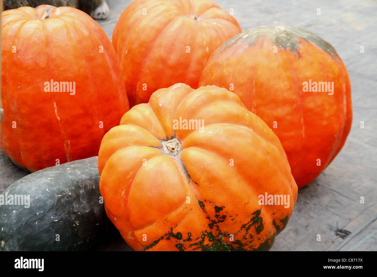 Calabash pumpkins hi-res stock photography and images - Alamy