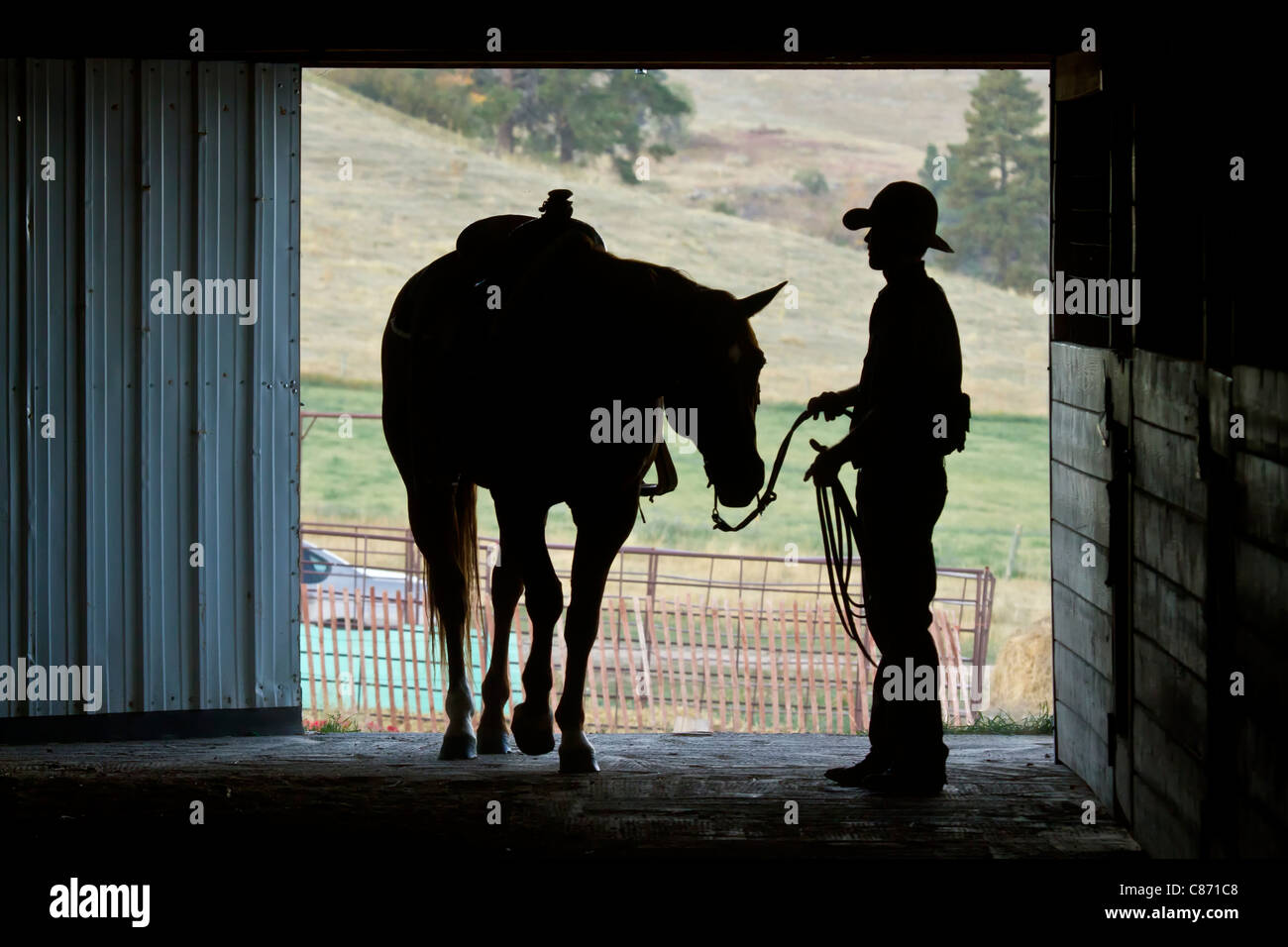 Cowboy leads his horse into the stall in silhouette Stock Photo - Alamy