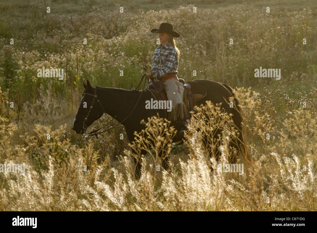 Cowgirl riding the range hi-res stock photography and images - Alamy