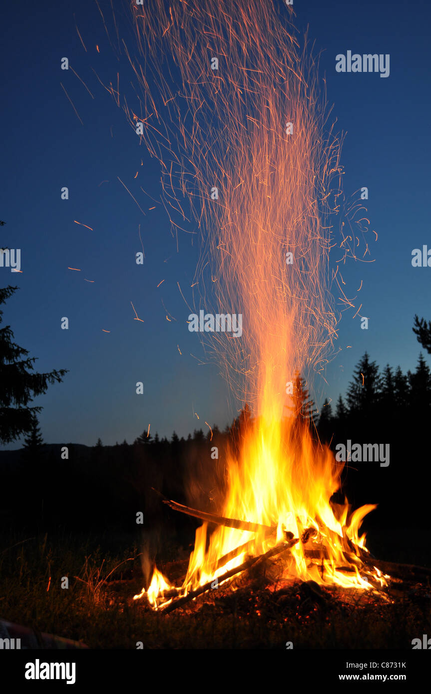 campfire in the forest Stock Photo - Alamy