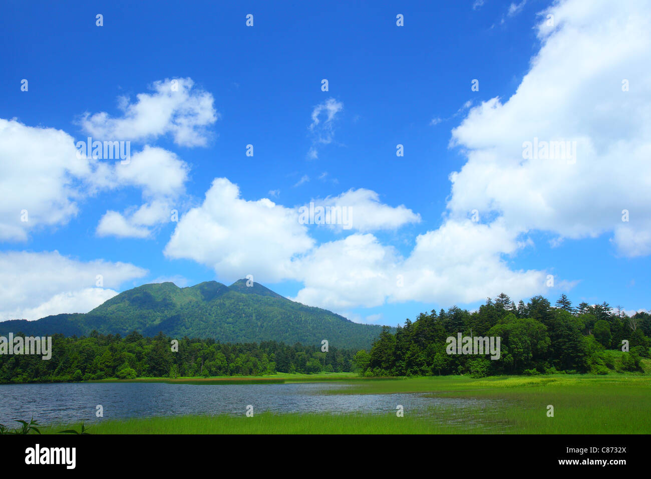 Oze national park japan hi-res stock photography and images - Alamy