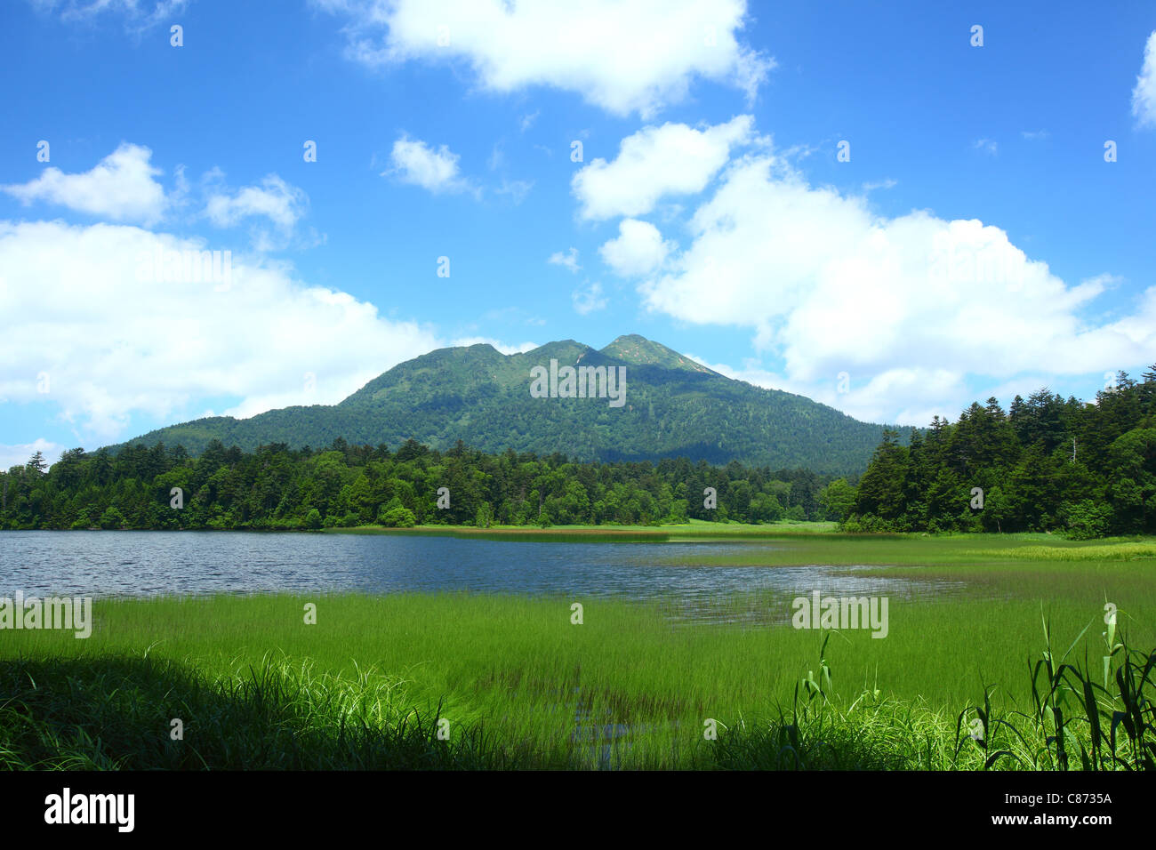 Oze national park hi-res stock photography and images - Alamy