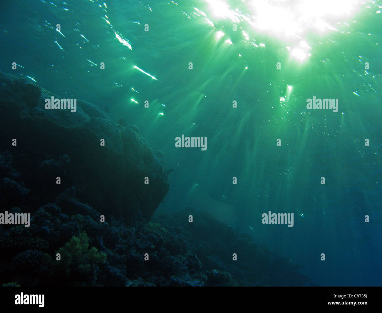 The dappled light of the sun hi-res stock photography and images - Alamy