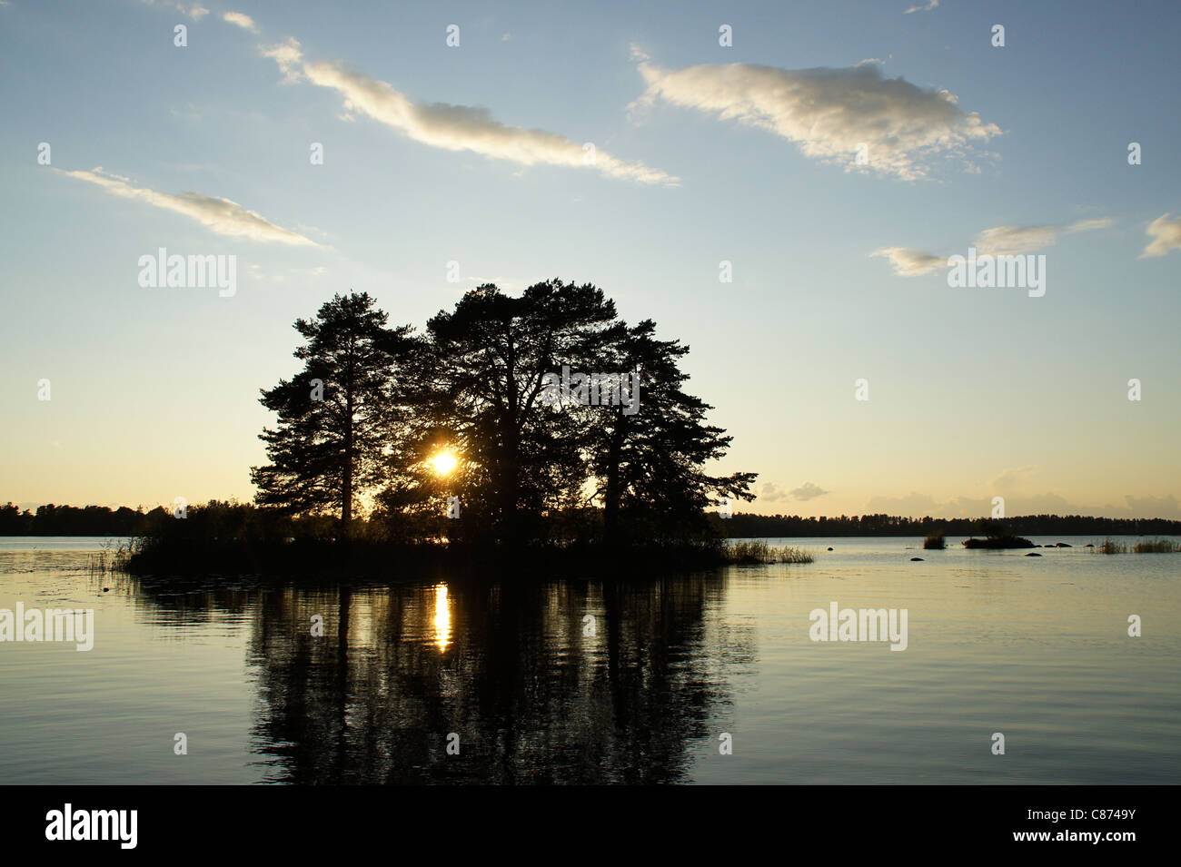 Backlit island with fir trees in a Swedish lake, Hedesunda, Seden Stock ...