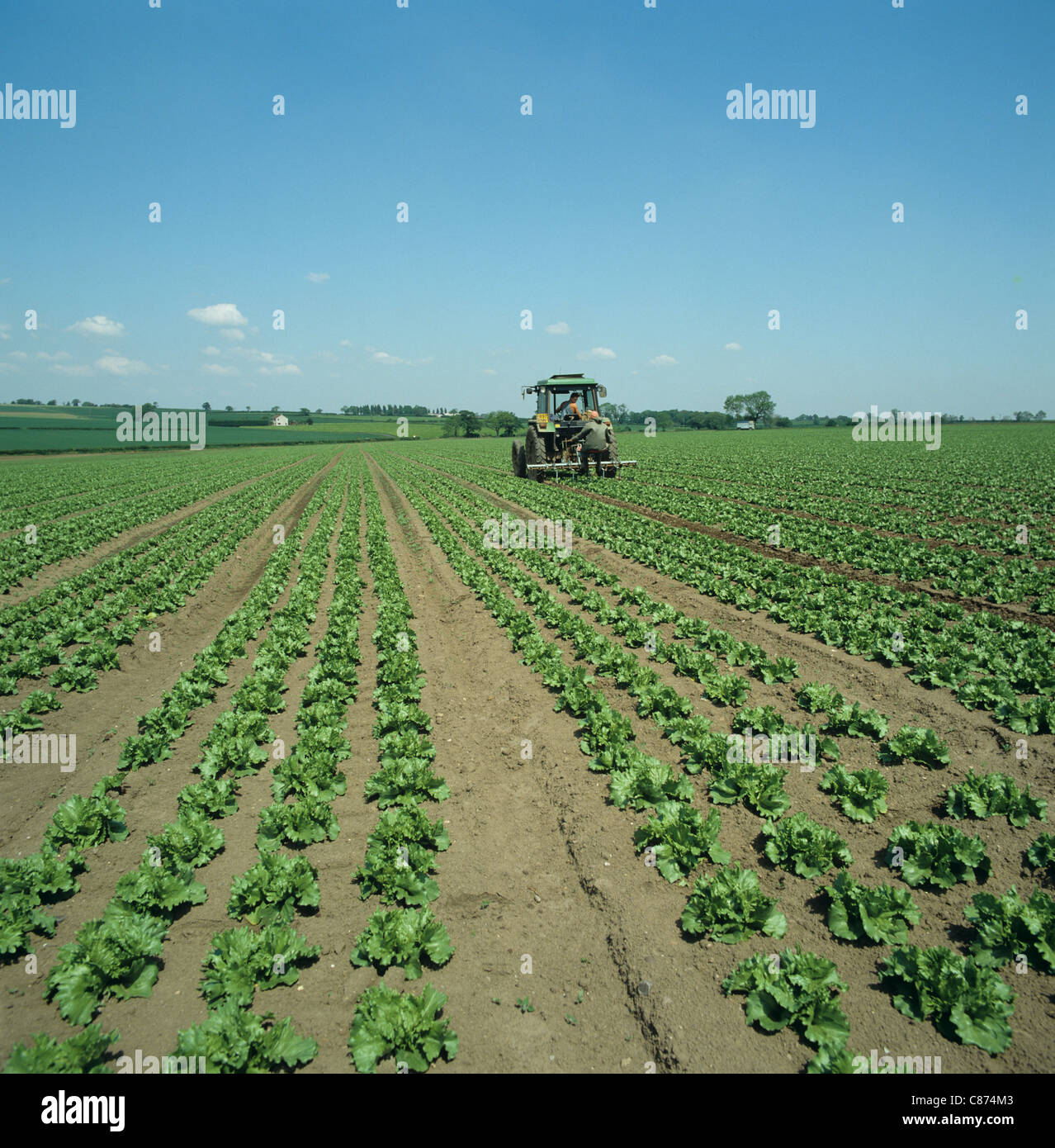 Crop cultivating hi-res stock photography and images - Alamy