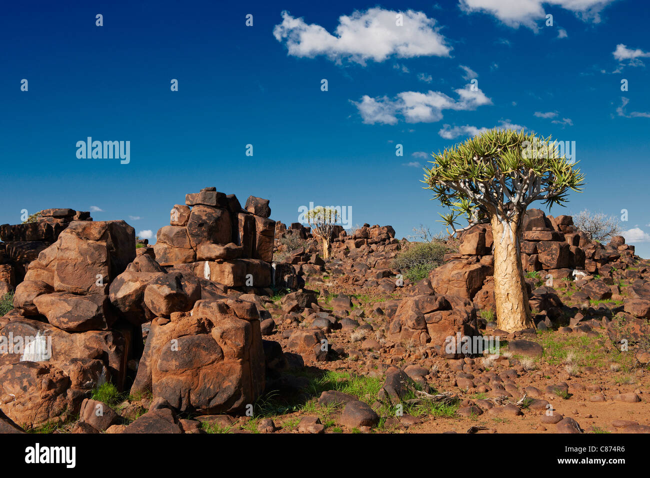 Garas hi-res stock photography and images - Alamy