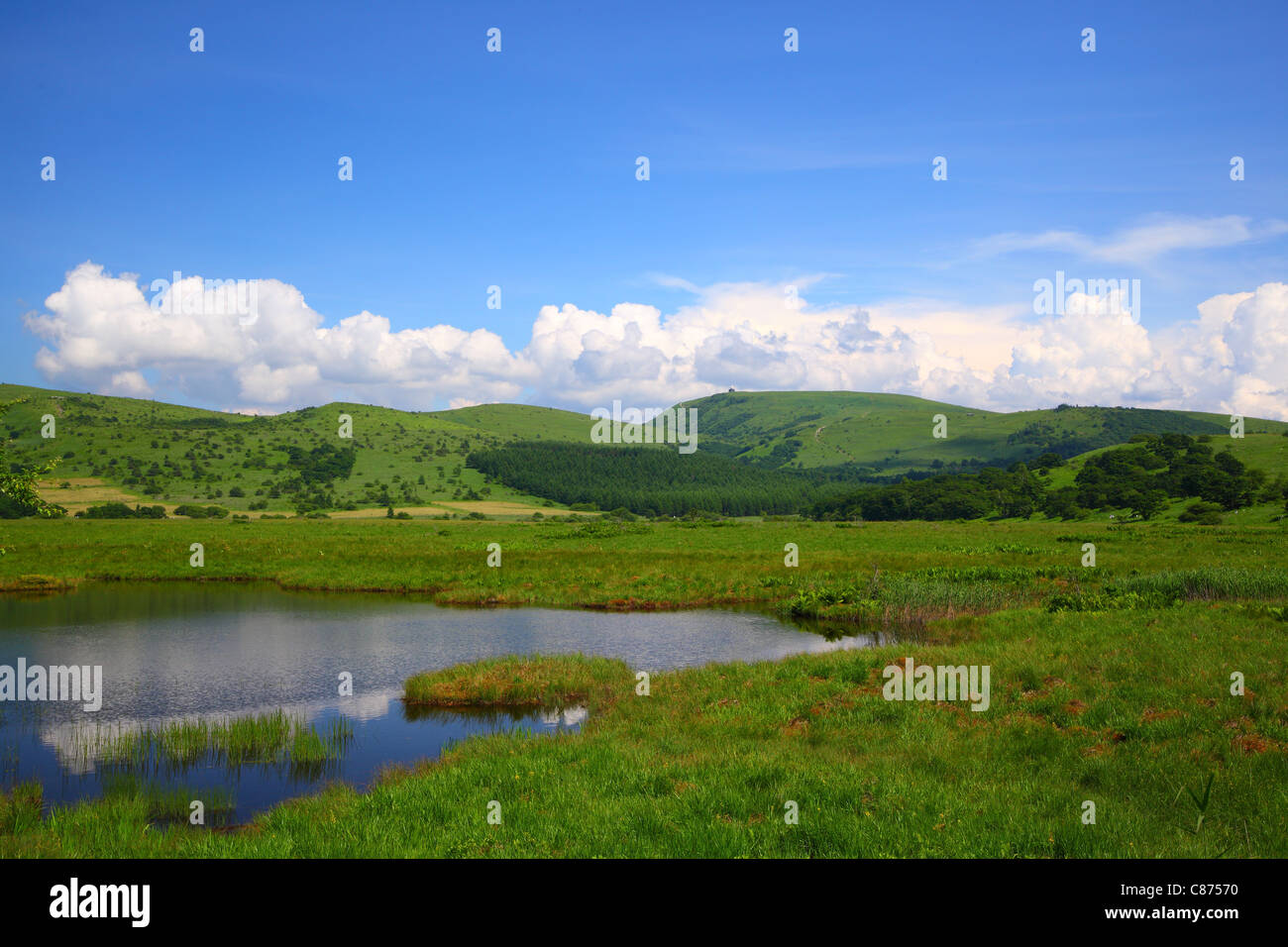 Marshland meadow hi-res stock photography and images - Alamy