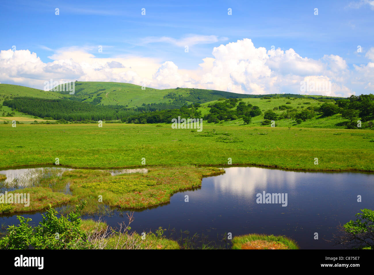 Marshland meadow hi-res stock photography and images - Alamy
