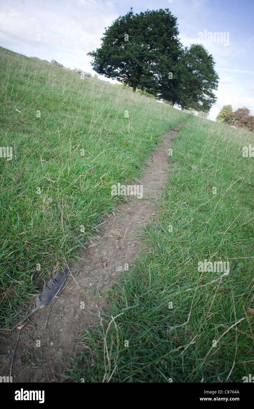 Small narrow path across grass parkland Stock Photo - Alamy
