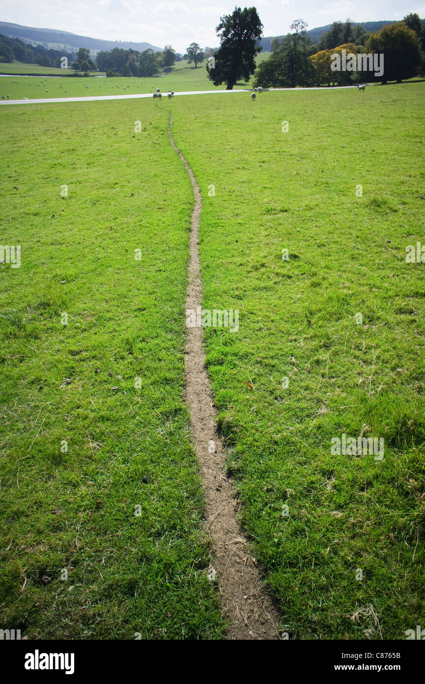 Grass path across field hi-res stock photography and images - Alamy