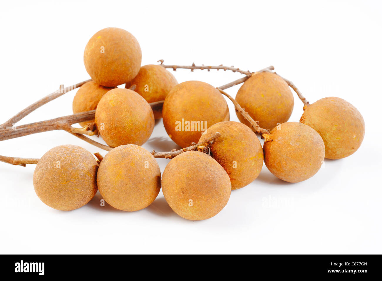 longan on white background Stock Photo - Alamy