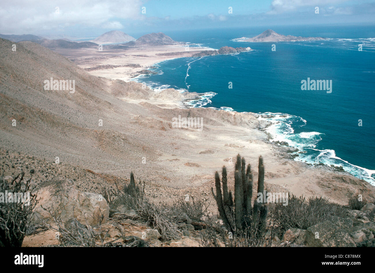 Coastal fog zone in the Atacama Desert in Pan de Azucar National Park ...