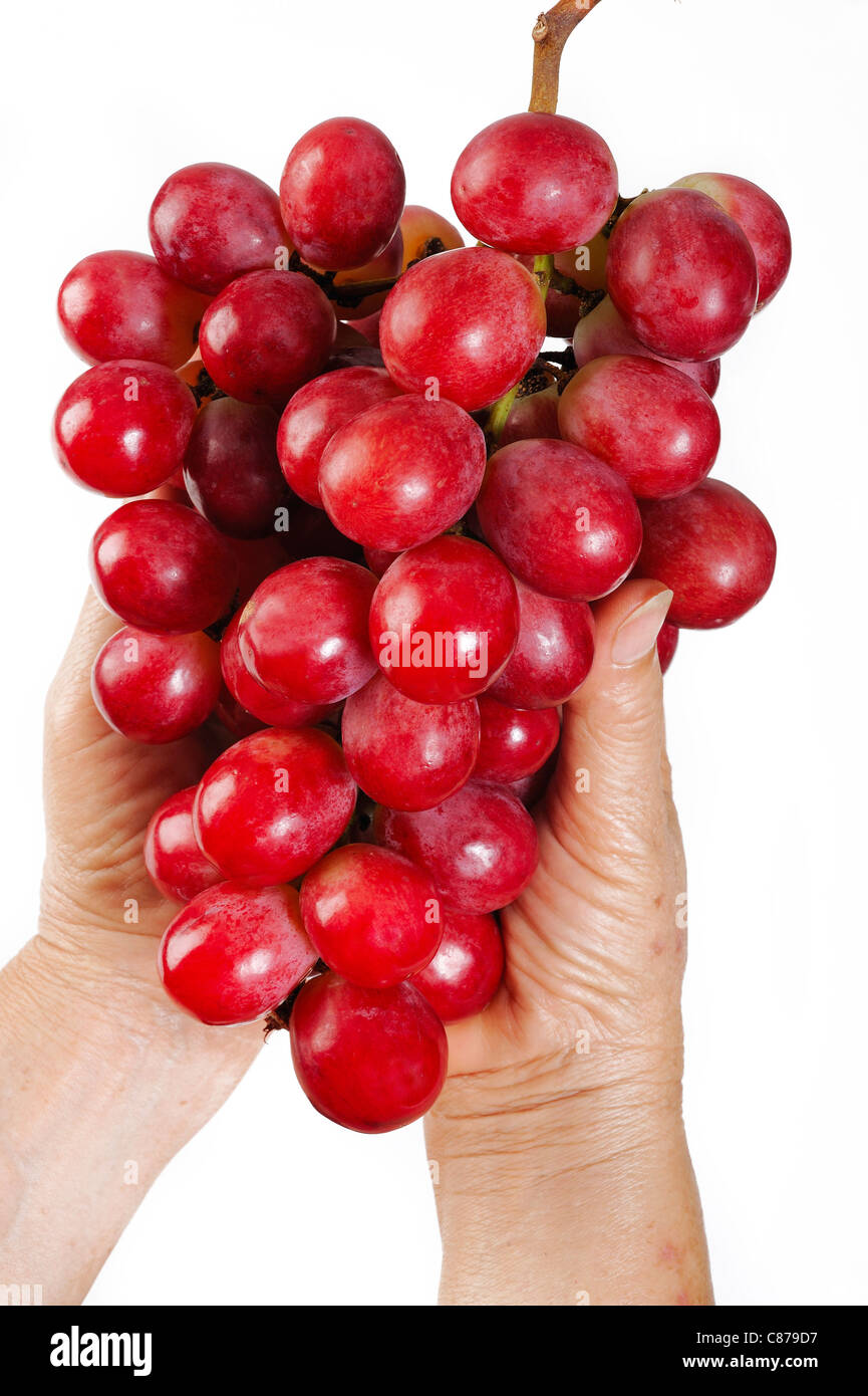 Red grape hi-res stock photography and images - Alamy