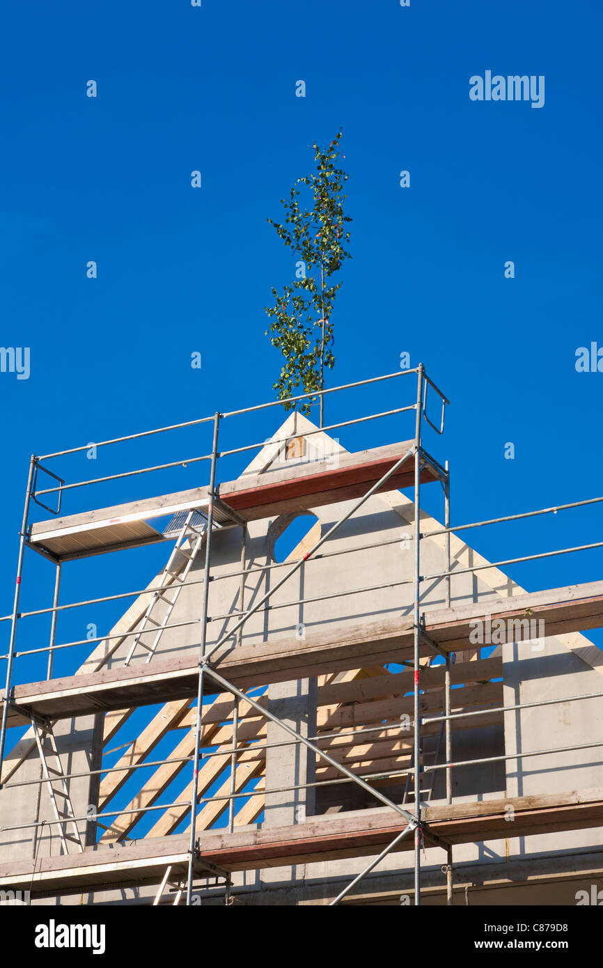 Scaffolded house hi-res stock photography and images - Alamy