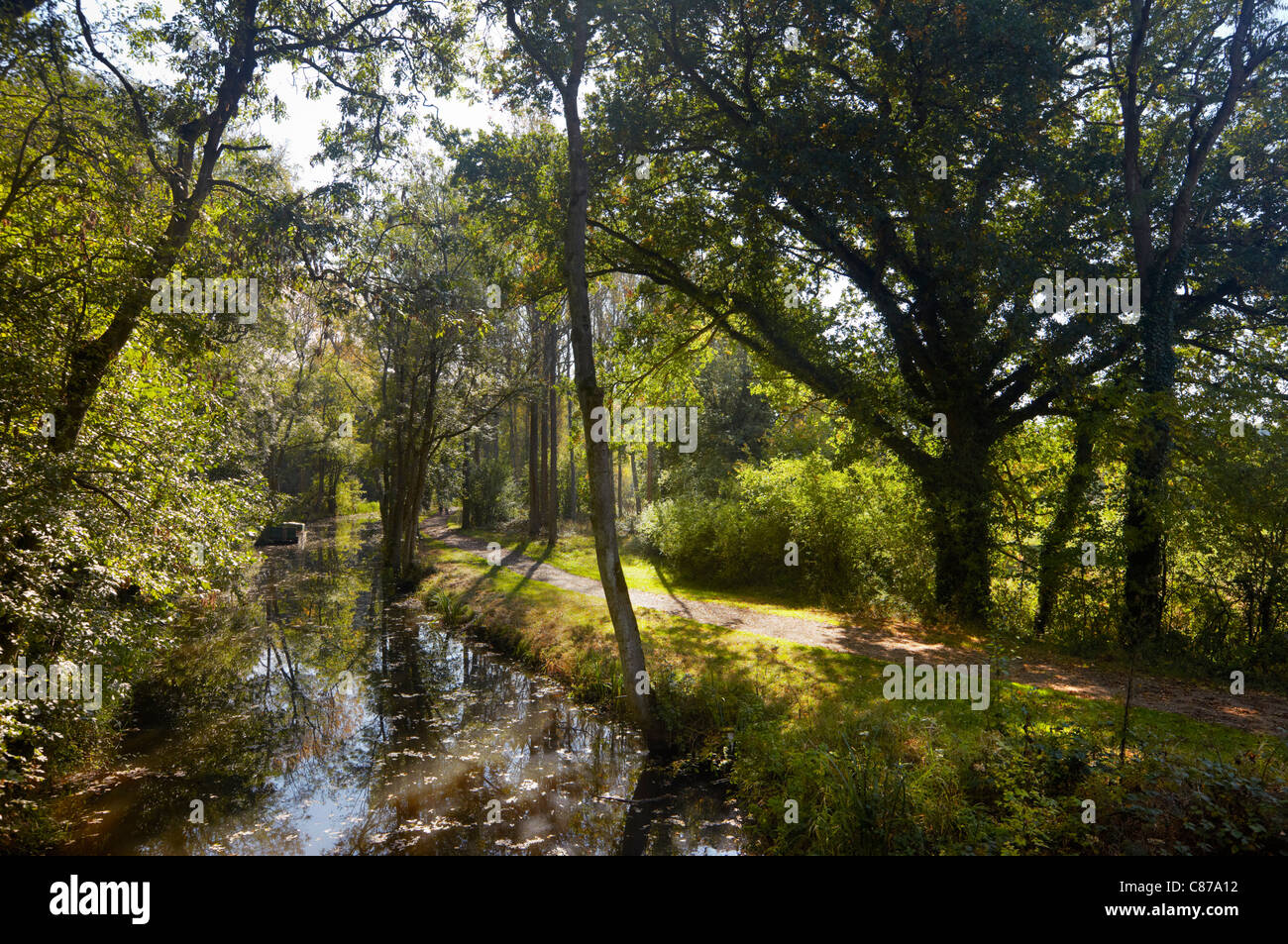 Bridleway bridge hi-res stock photography and images - Alamy