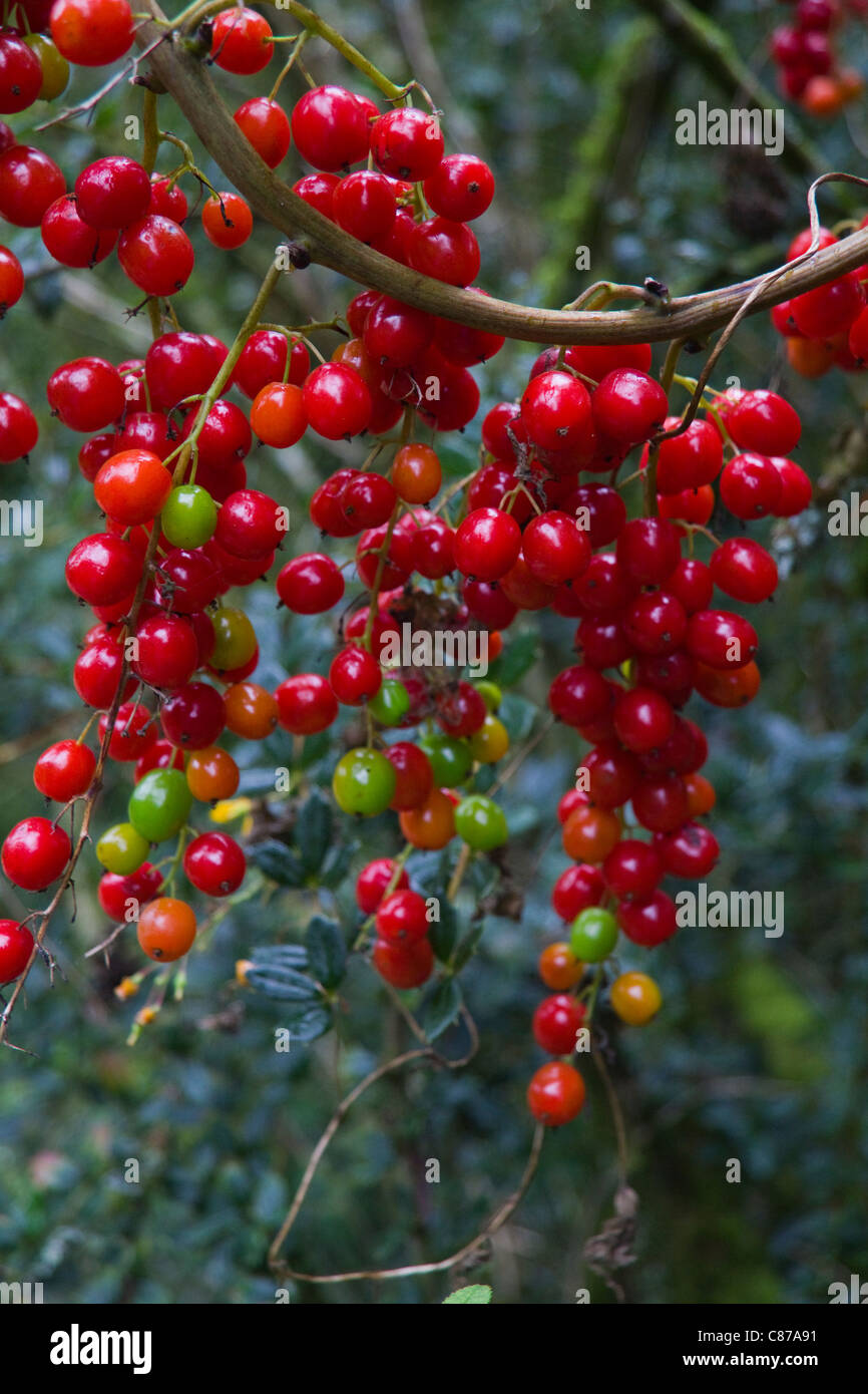 Stourhead house and gardens hi-res stock photography and images - Alamy