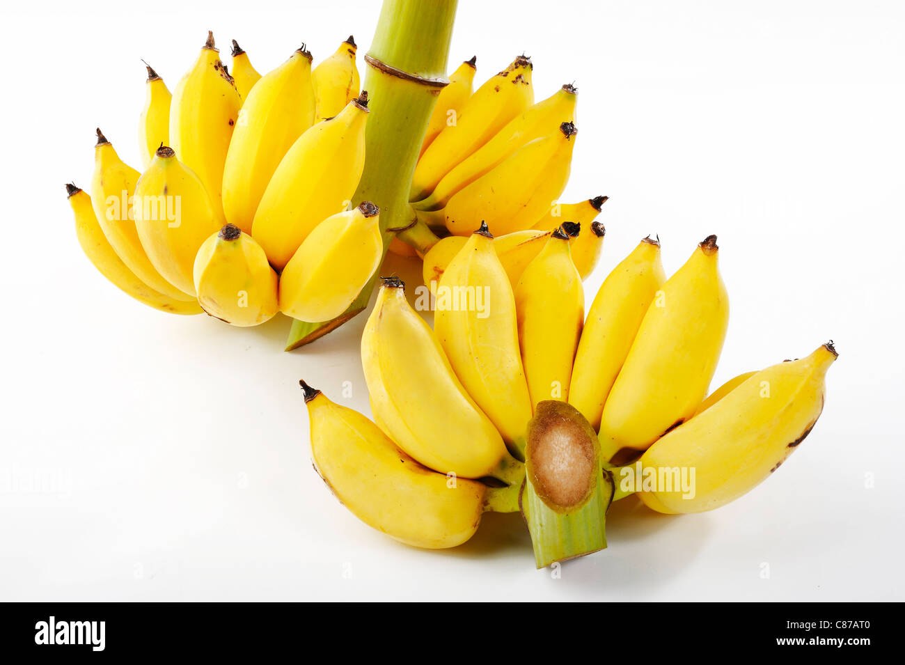 Banana cross section hi-res stock photography and images - Alamy
