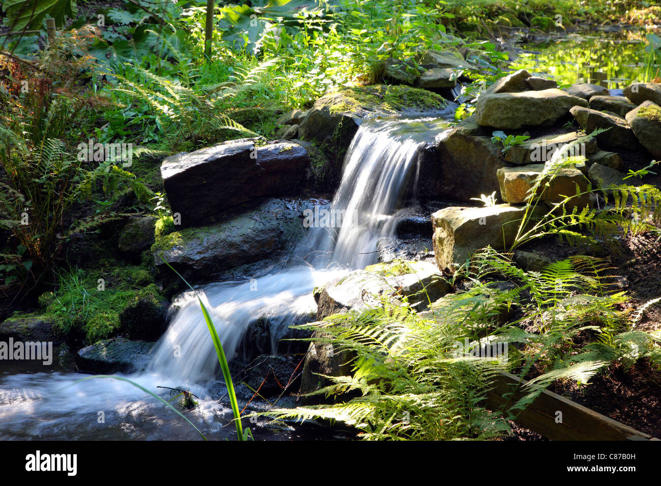 Creek in a forest hi-res stock photography and images - Alamy