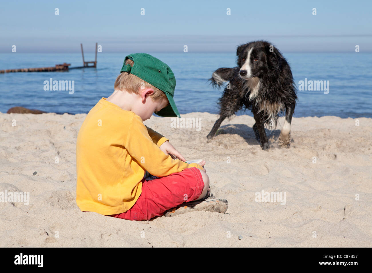 portrait of a young boy reading at a beach, a dog watching him Stock ...