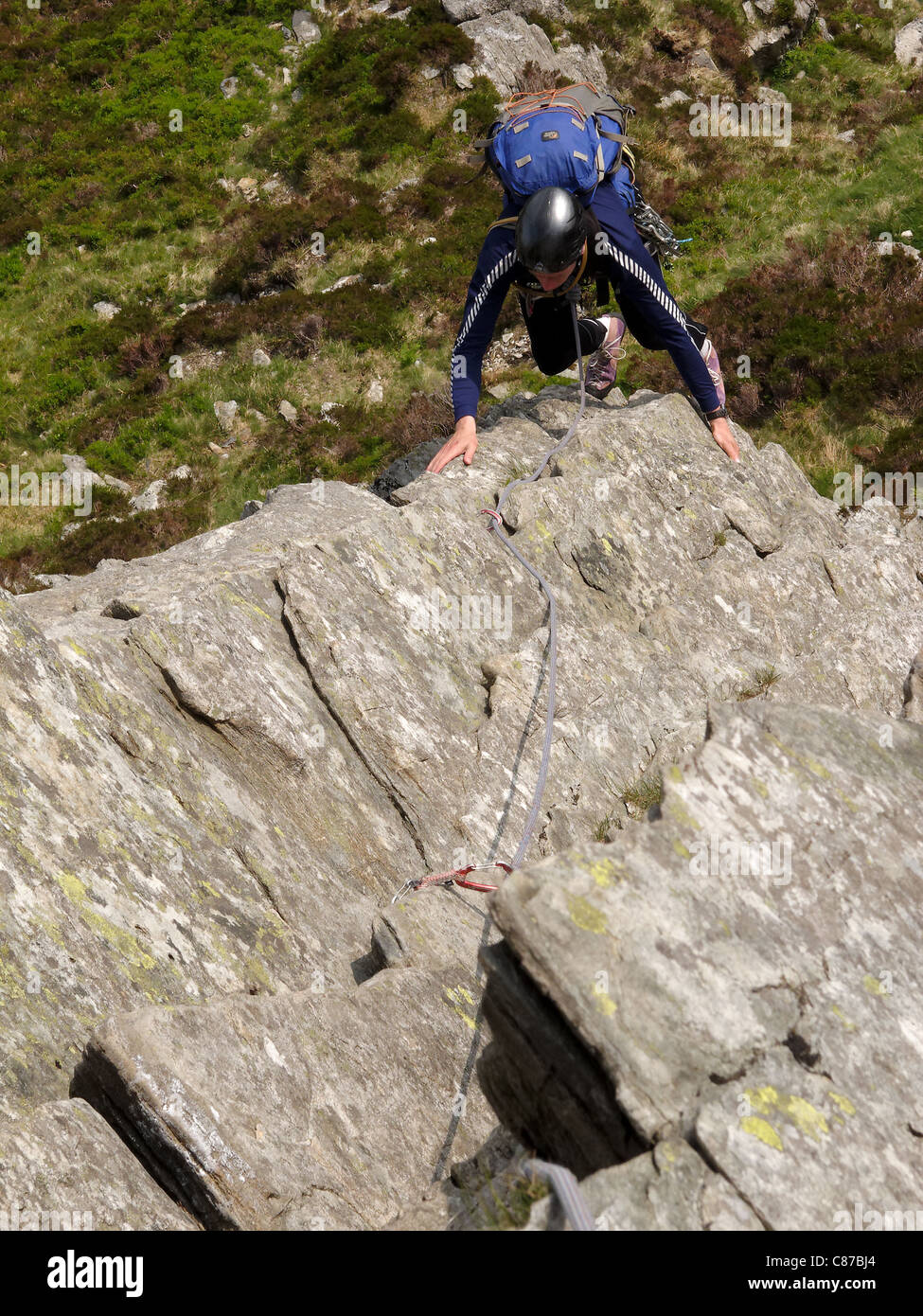 A rock climber on Grooved Arete Tryfan Snowdonia Stock Photo - Alamy