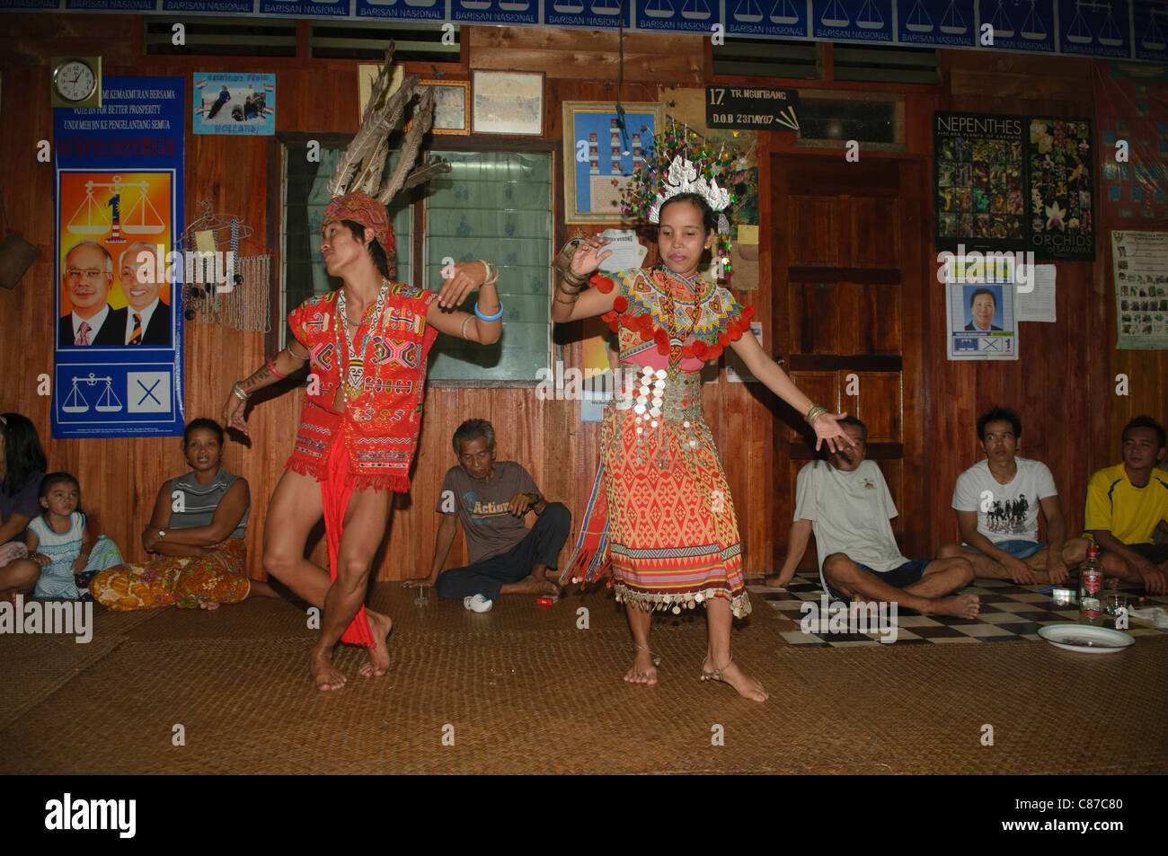 traditional hornbill dance at an Iban longhouse in Sarawak, Borneo ...